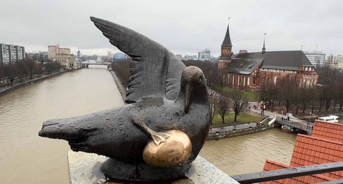 Новогодний Калининград днём. Остров Канта. Поднялись на башню. 31.12.2023