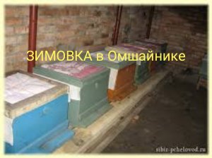 Омшаник для пчел, осмотр перед Новым Годом..mp4