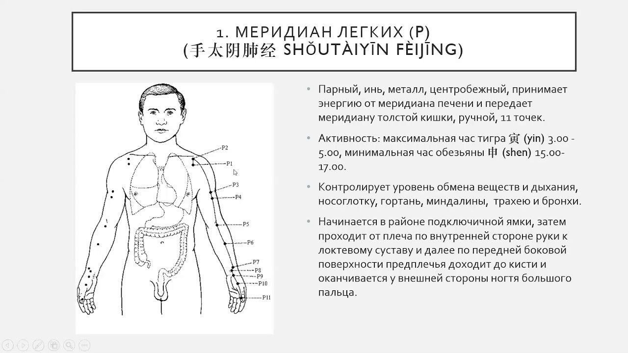 Энерго-анатомия человека в даосской традиции 3 часть.