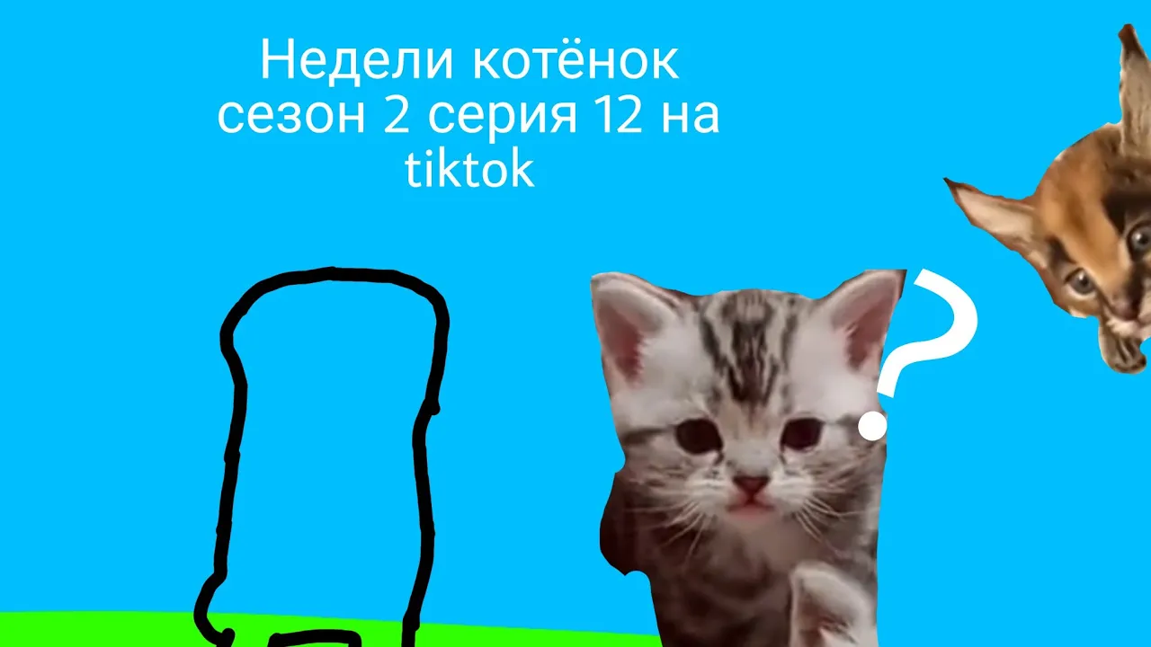 Недели котёнок сезон 2 серия 12 на tiktok