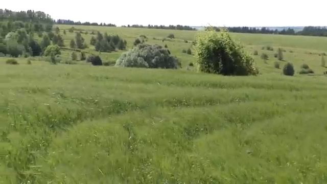 Малая Родина.07.Забытые деревни.Память предков.MP4