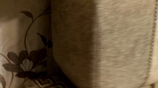 Хороший котик.
