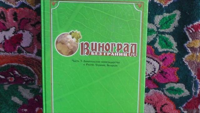 О селекции винограда