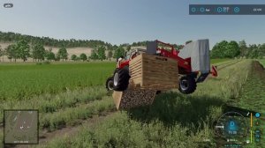 Убираем пастернак и грузим в ящики (#2) // Zielonka - Farming Simulator 22: Premium Edition