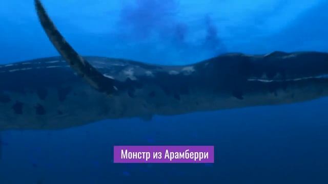 Научный разбор Прогулки с Динозаврами Серия 3 - Жестокое Море