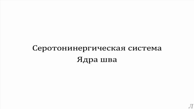 11.12 Подробное разъяснение. Серотонинергическая система. Ядра шва