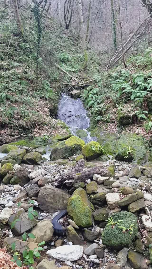 Ущелье 2 брата / Лазаревское