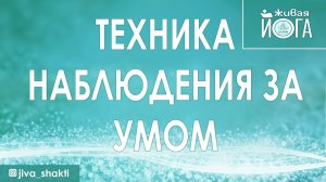 Техника наблюдения за умом