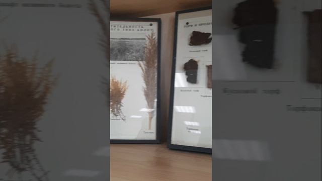 🌾Гербарий🌿и🌻Ботаника🌺