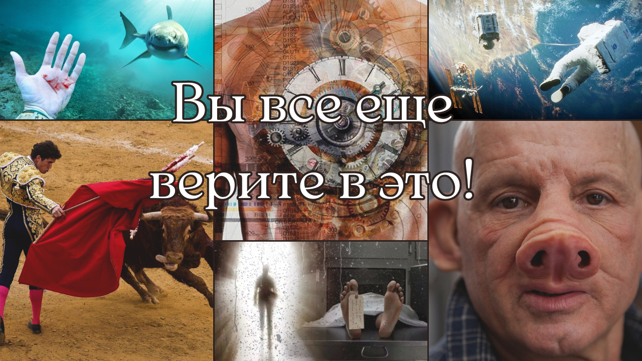 Мифы, которые нас обманули