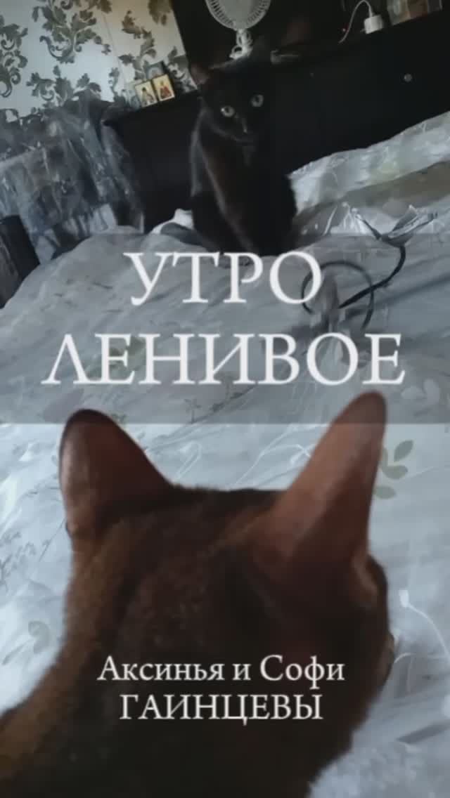 Утро ленивое. Аксинья и Софи Гаинцевы. 🐈⬛🐈