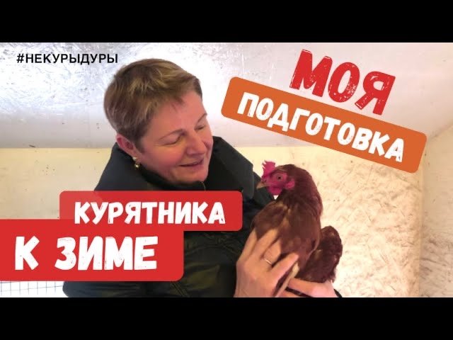Как подготовить курятник к зиме.