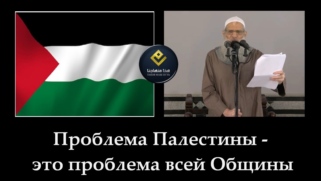 Проблема Палестины - проблема всей Общины | Шейх Раслян
