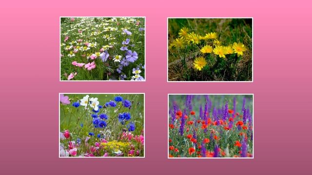 Стиль поворот с переворотом и сменой фото в PTE AV Studio