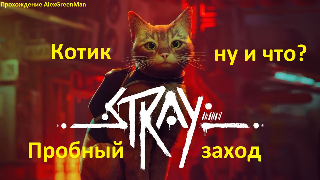 Stray Пробный заход.