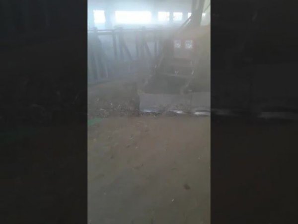 Луг Здоровья