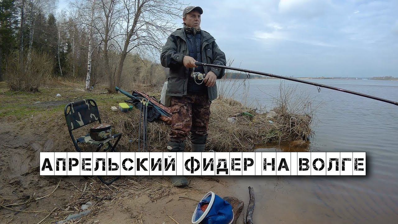 Апрельский фидер на Волге (Новое село). Ловля подлещика.