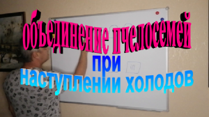 Объединение пчелосемей при наступлении холодов.