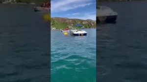 Морж на лодке