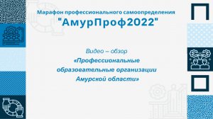 Видео-обзор «Профессиональные образовательные организации Амурской области»