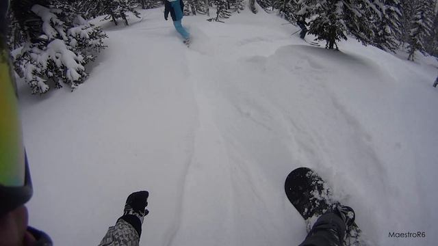 По лесам с ксю 22 февраля 2017