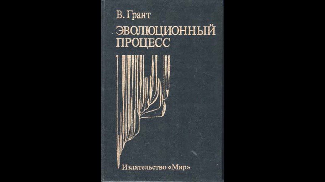 Глава 02. Решение проблемы.