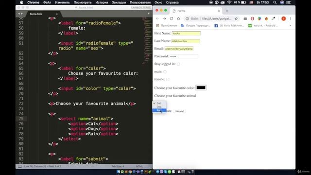 Веб Разработка Что Нужно Знать | HTML5 CSS3 JavaScript | Урок №15 | Элемент select | Отправка ...