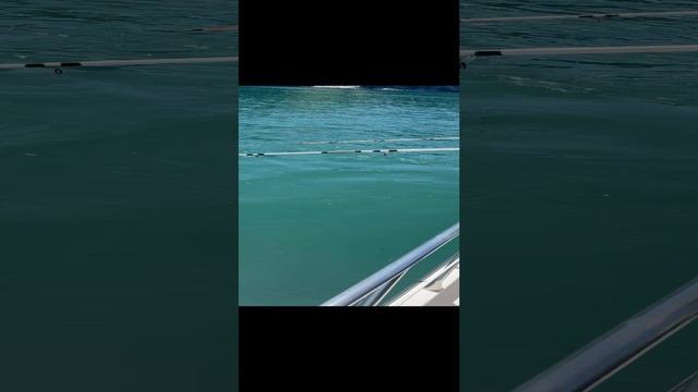 Кудрявая малышка ловит рыбу на Камчатке