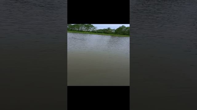 20220621_135823.mp4