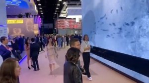 Собчак посмеялась над Гурцкой