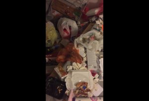 Сдал квартиру студентке на 2 месяца