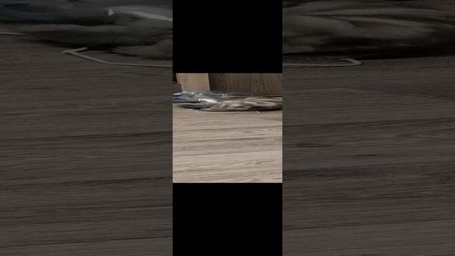 1000031327.mp4