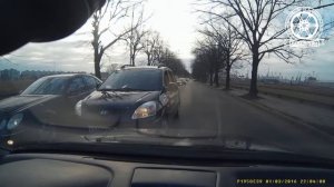 Борзый на дороге  Калининград  01 03 16