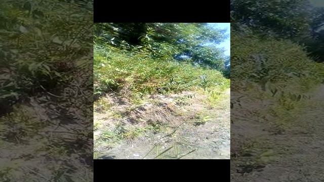 VID_20230725_134933
