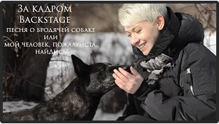 За кадром. Съемки ролика к песне "Бродячий пес или мой человек, пожалуйста, найдись!"