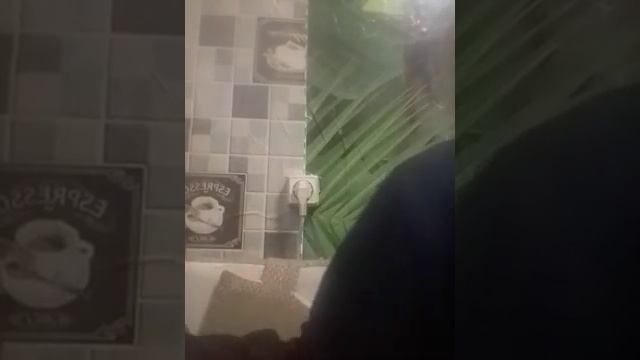 покупка из верного