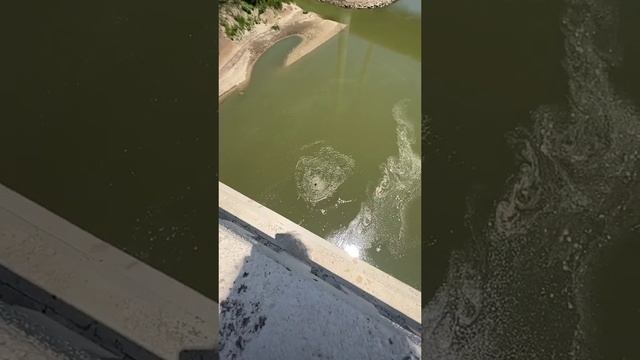VID_20221224_203856_948.mp4