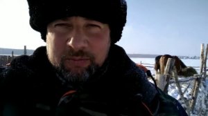 Зачем нужна лошадь