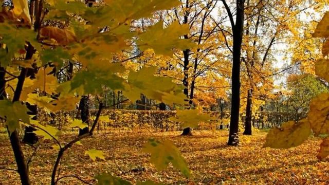 Мне письмо заказное от осени... Романс Ирины Фетисовой-Мюллерсон (стихи, исполнение)