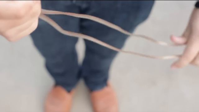 How To Teleport In Real Life!