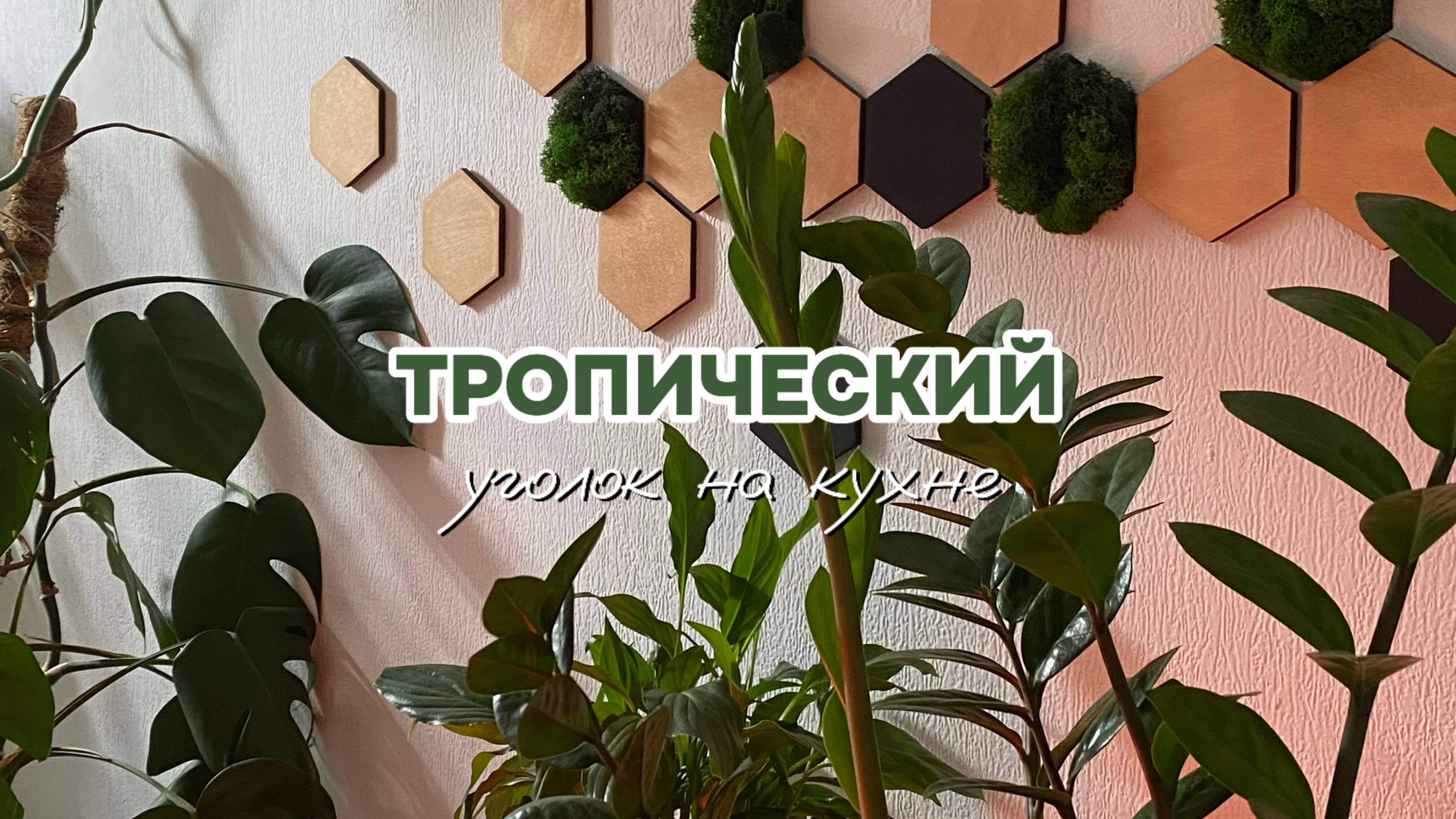 Мои растения на кухне🌿 Уютный обзор🌴 Джунгли в квартире