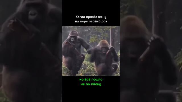 Шутка но как говорится в каждой шутке 😆