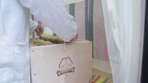 Обработка пчёл в Апидомике " Ковчег" , санаторий Надежда г. Тольятти. тел. 89879749000