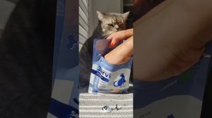 Сухой корм jarvi для чувствительного пищеварения
