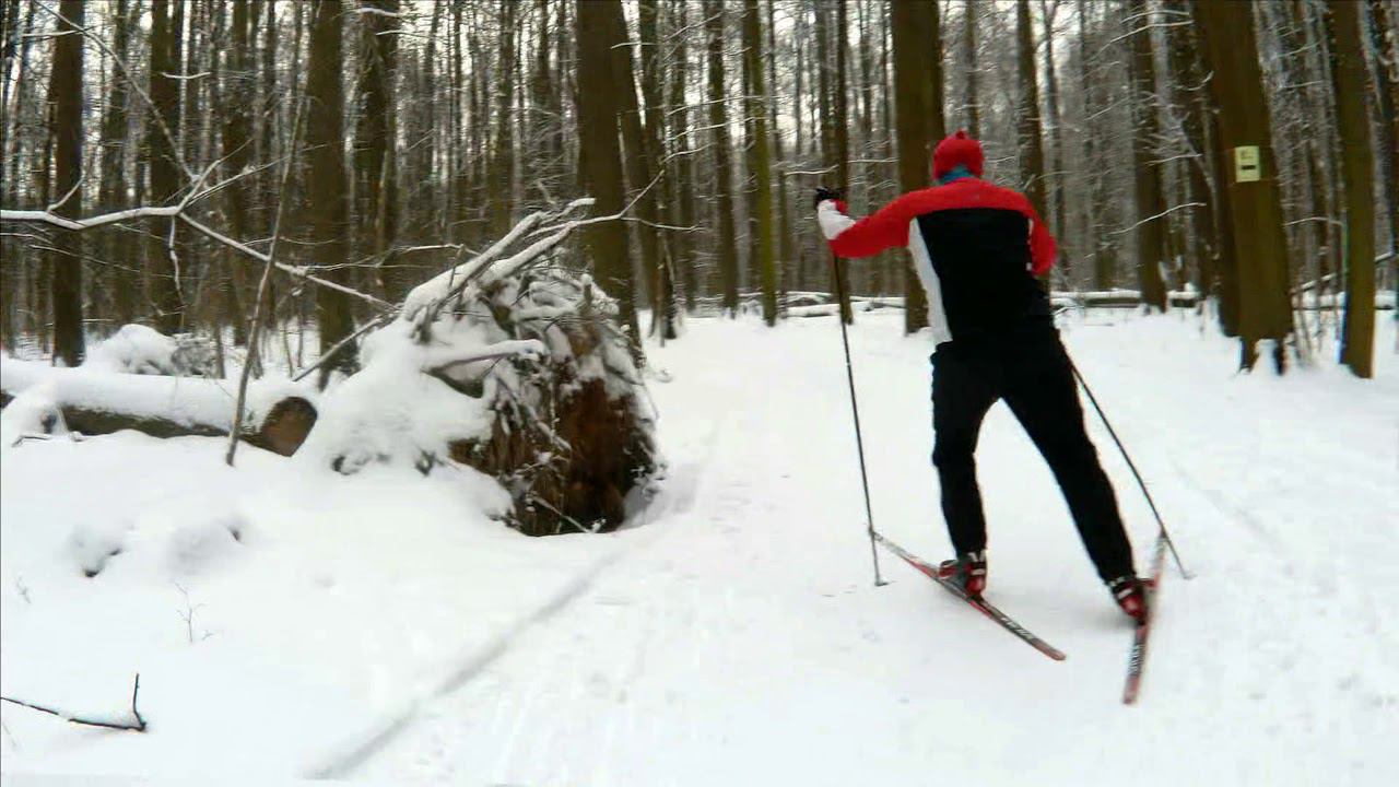 Ski-Izmaylovo 01.02.2020