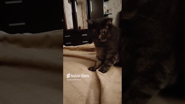 1000566192.mp4