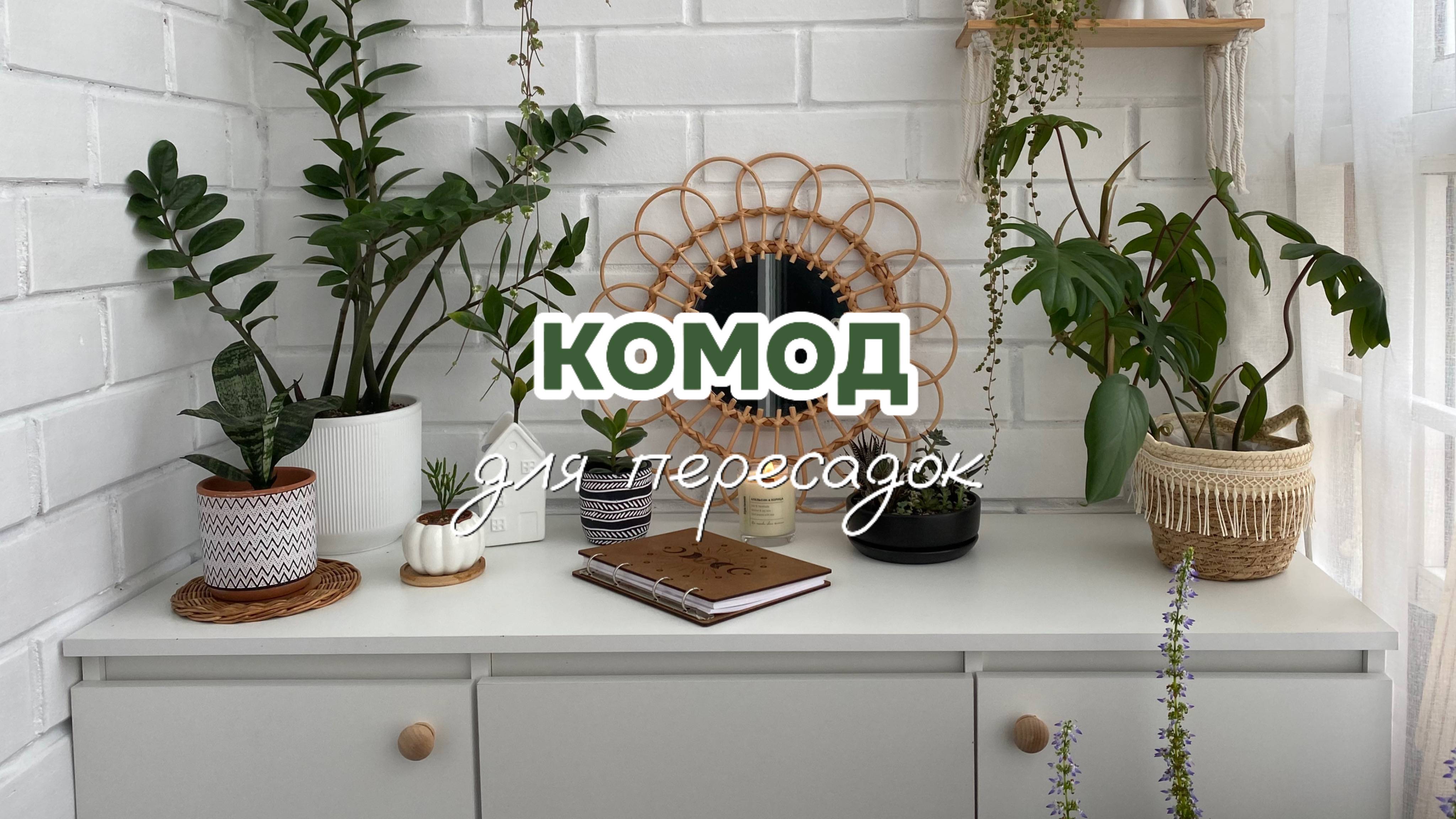 Красивое и удобное хранение грунта и разрыхлителей для растений🌿