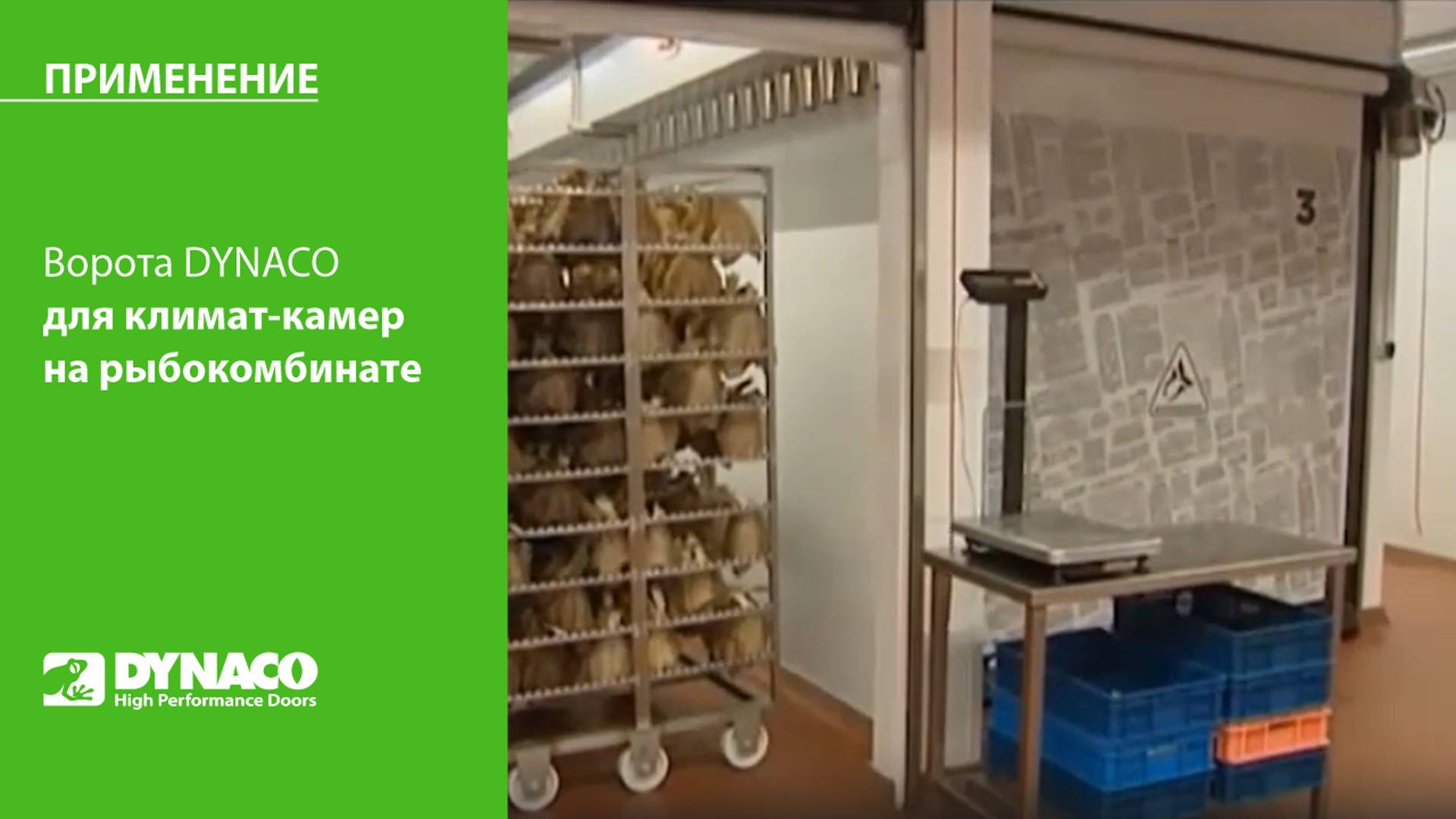 ПРИМЕНЕНИЕ: ворота DYNACO на рыбоперерабатывающей фабрике для климат-камер