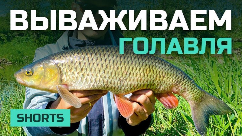 Вытащили из воды настоящего монстра!!! #shorts
