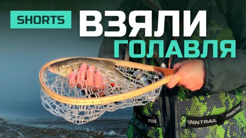 Рыба сама идёт к Вам в руки в вейдерсах FINNTRAIL! #shorts